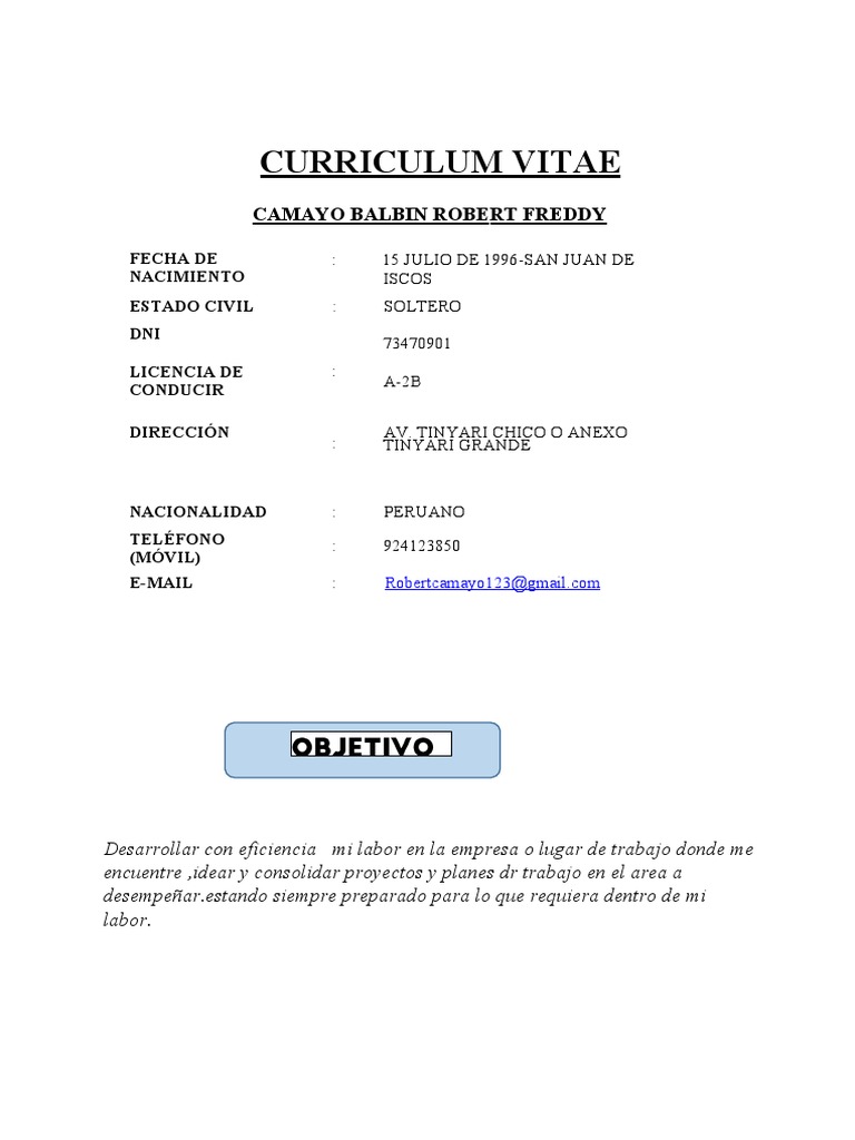 Curriculum Vitae de Robert Camayo Balbin, mecánico automotriz peruano | PDF