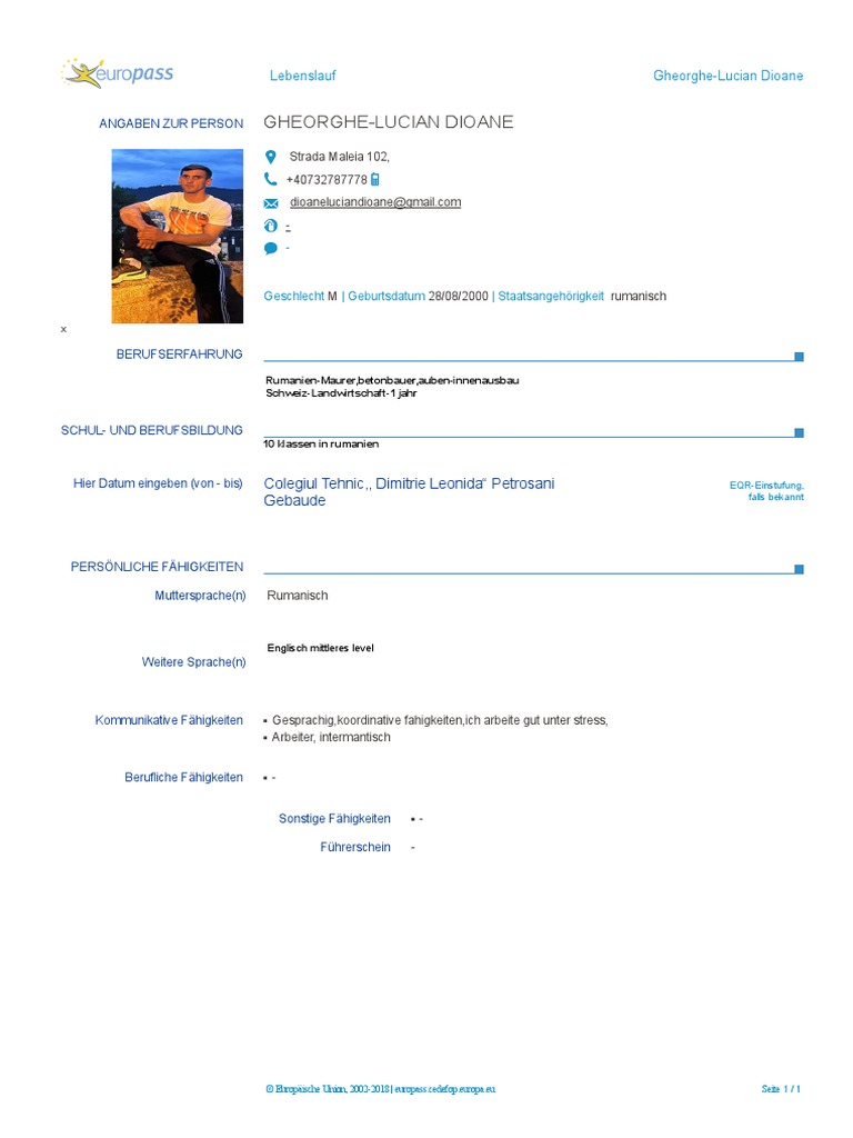 CV German Europass | PDF