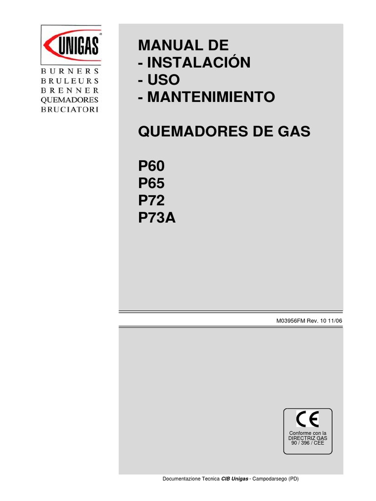 Manual P60 P65 P72 P73a | PDF | Combustión | Metrología