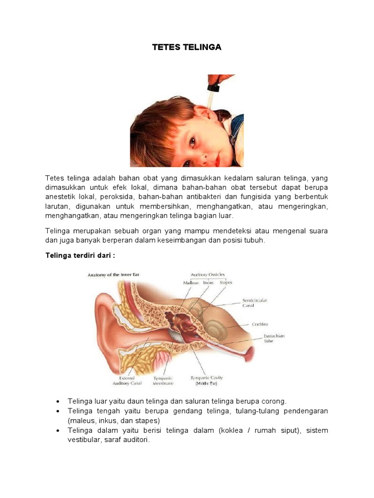 Tetes Telinga | PDF | Kesehatan Holistik