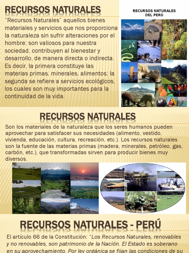 Recursos Naturales | PDF | Naturaleza | Perú