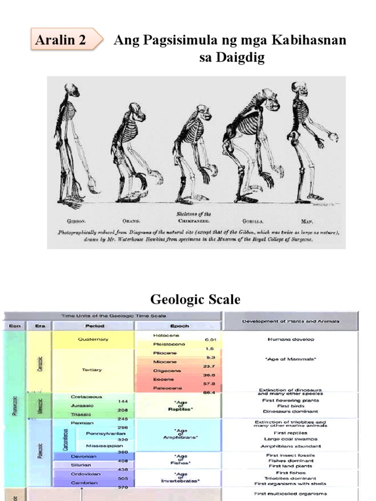 Ang Pagsisimula NG Mga Kabihasnan Sa Daigdig | PDF