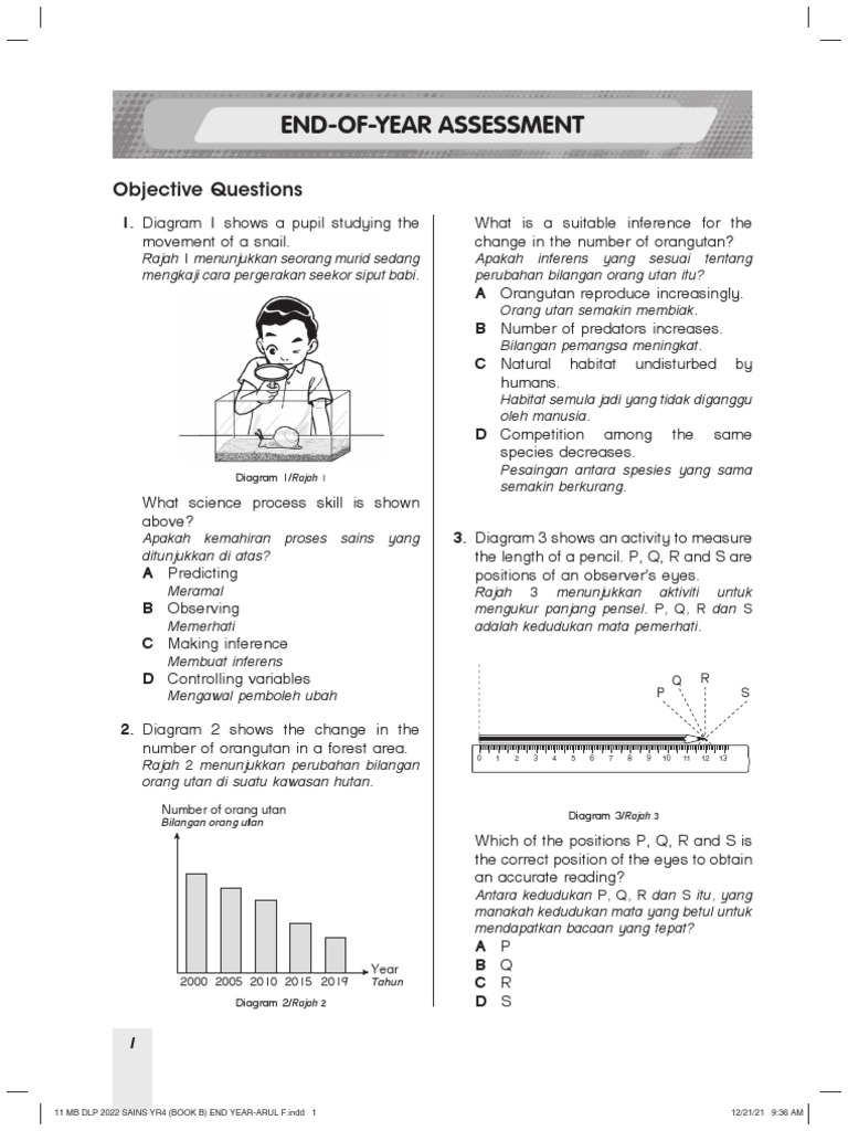 End-Of-Year Assessment | PDF