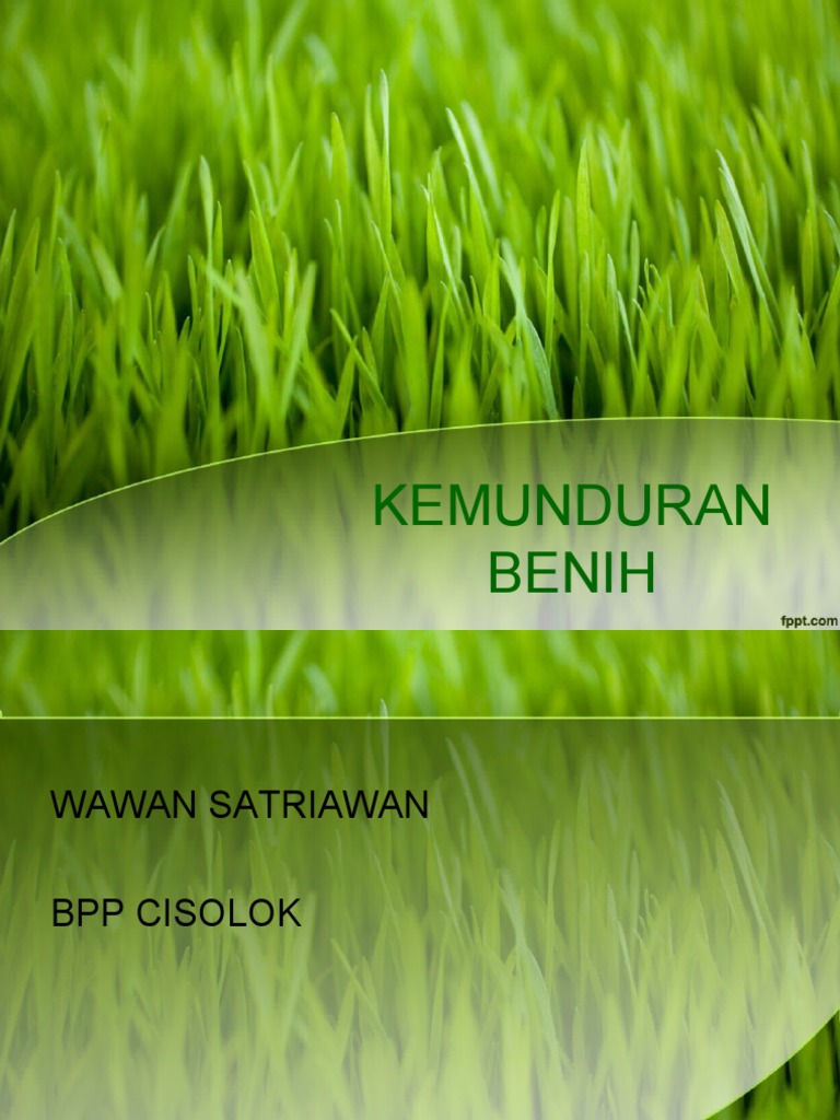 Kemunduran Benih | PDF