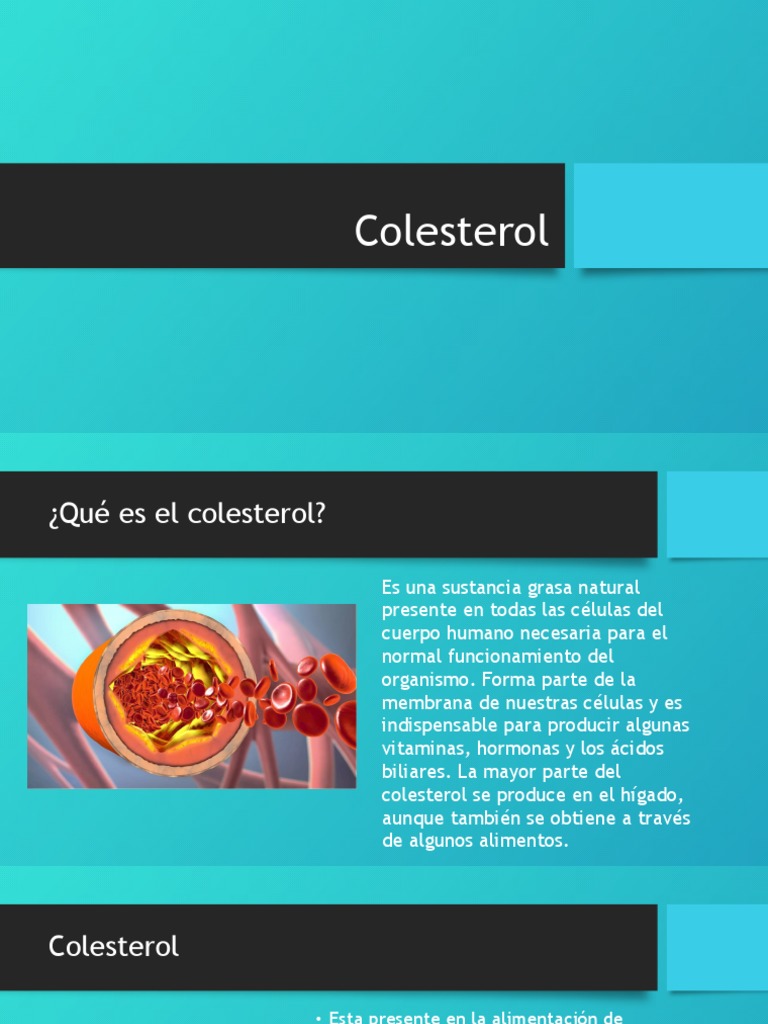Colesterol | PDF | Colesterol | Hipercolesterolemia