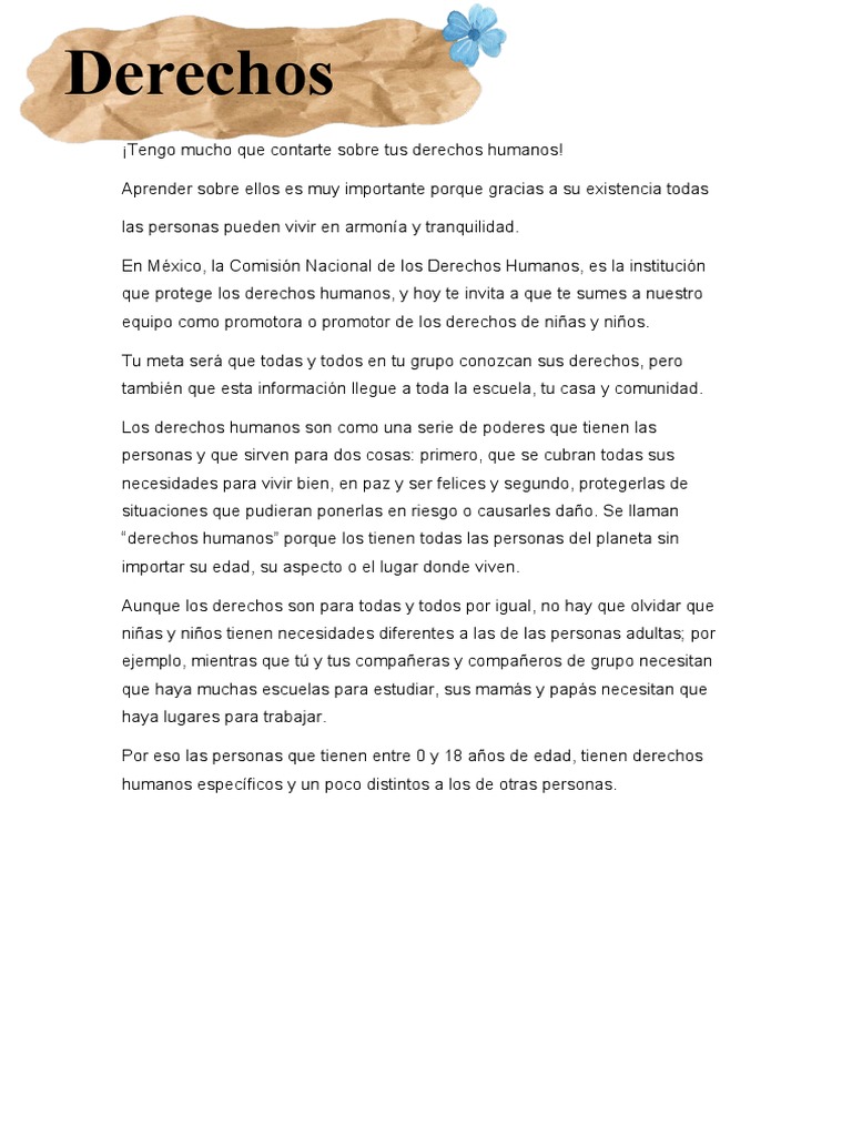 Definición De Derechos Humanos | Pdf