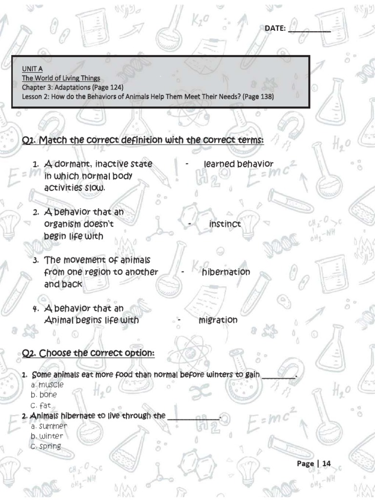 Grade 4 Science Workbook Term 1 Mdified | PDF | Blood | Skeletal Muscle