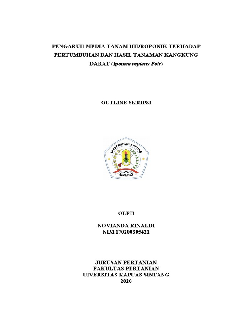Outline Skripsi | PDF