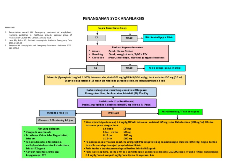 Penanganan Syok Anafilaksis | PDF
