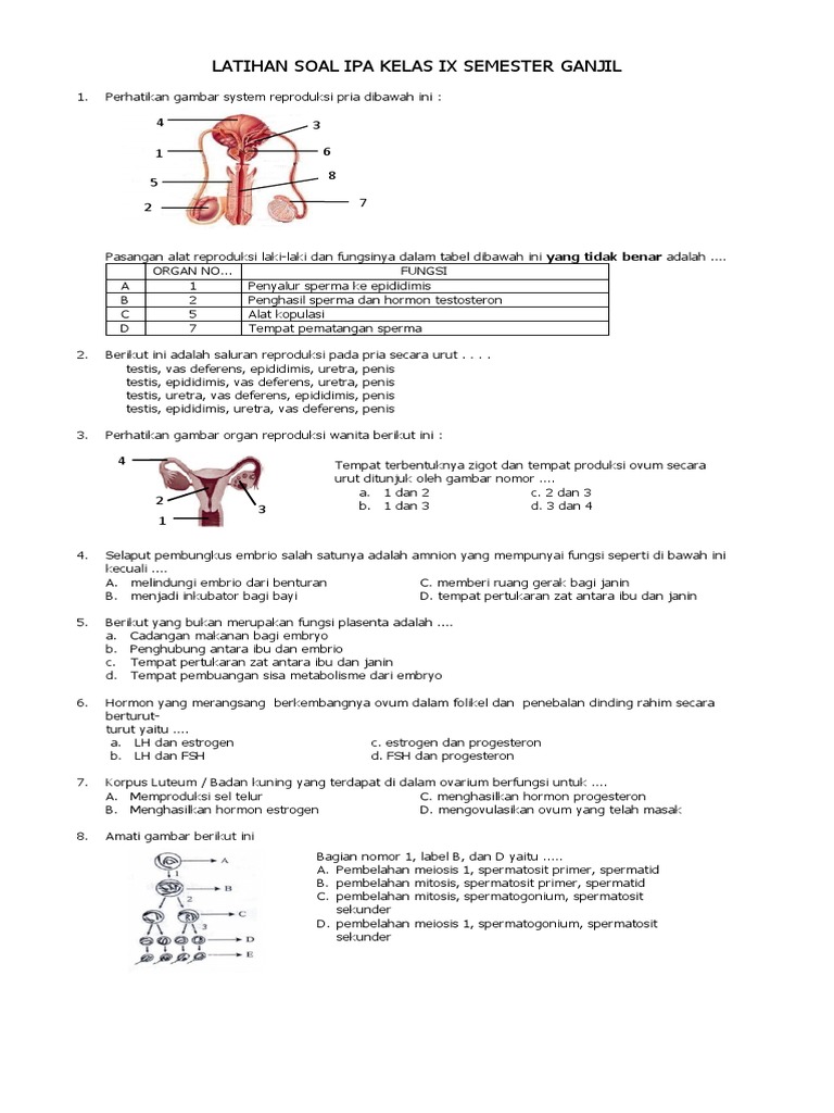 14 Latihan Soal Ipa Kelas Ix Semester Ganjil | PDF