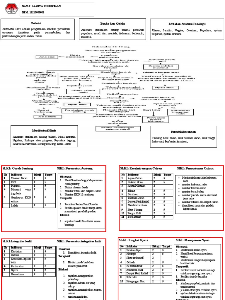 Woc Anc Fisiologis Pdf