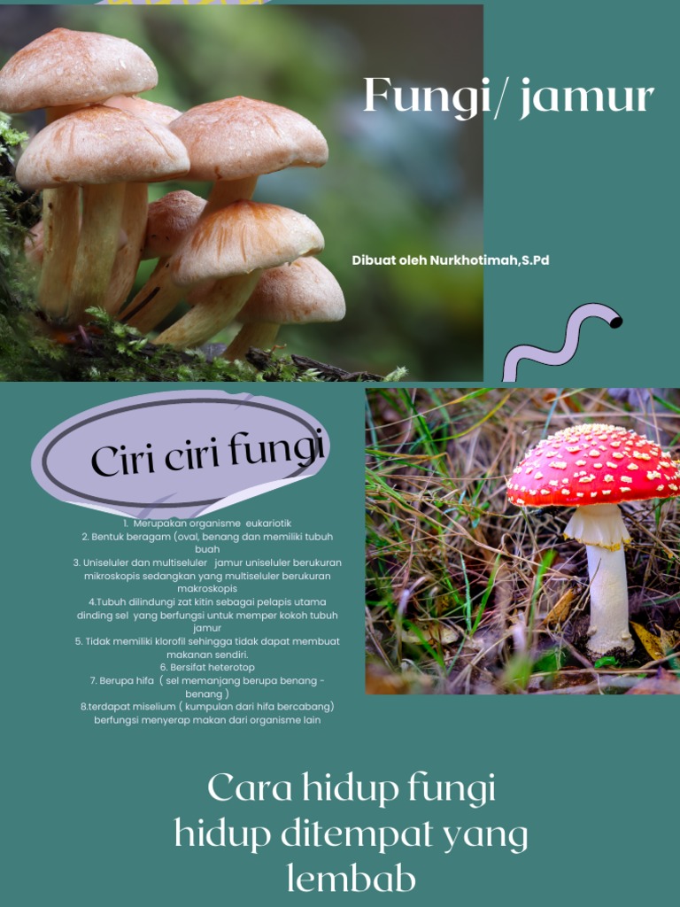 Struktur Fungi Jamur | PDF