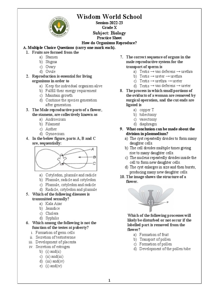 Practice Sheet How Do Organisms Reproduce | PDF | Fertilisation ...