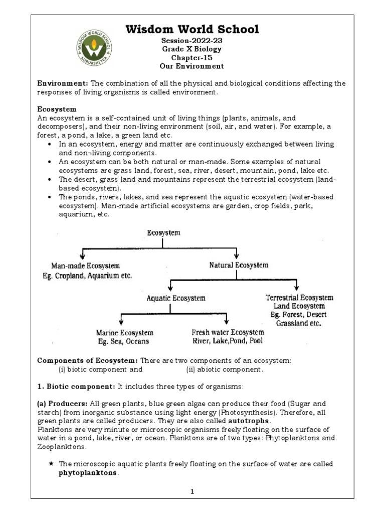 Our Environment Notes 1 | Download Free PDF | Ecosystem | Food Web