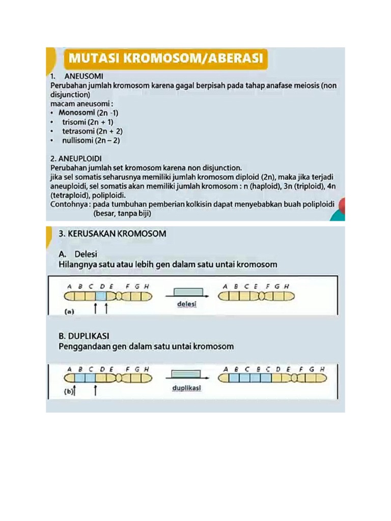 Mutasi (Kelas 12) | PDF