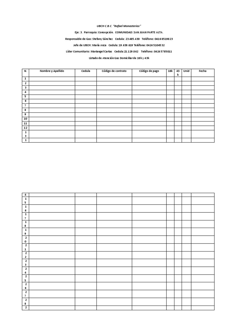 Formato Gas 18k y 43k | PDF