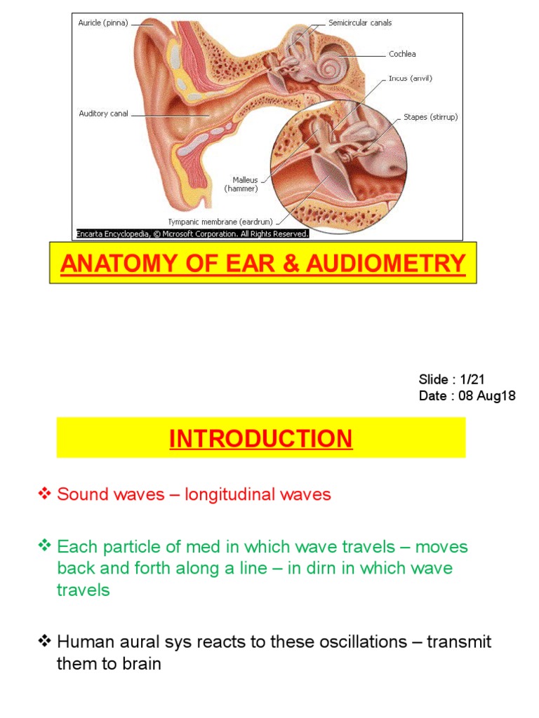 Anatomy of Ear & Audiometry | PDF | Hearing | Ear