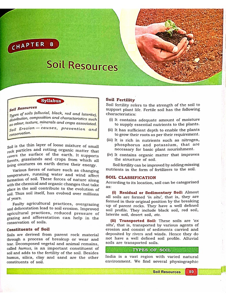 Geography Soil and Natural Vegetation | PDF