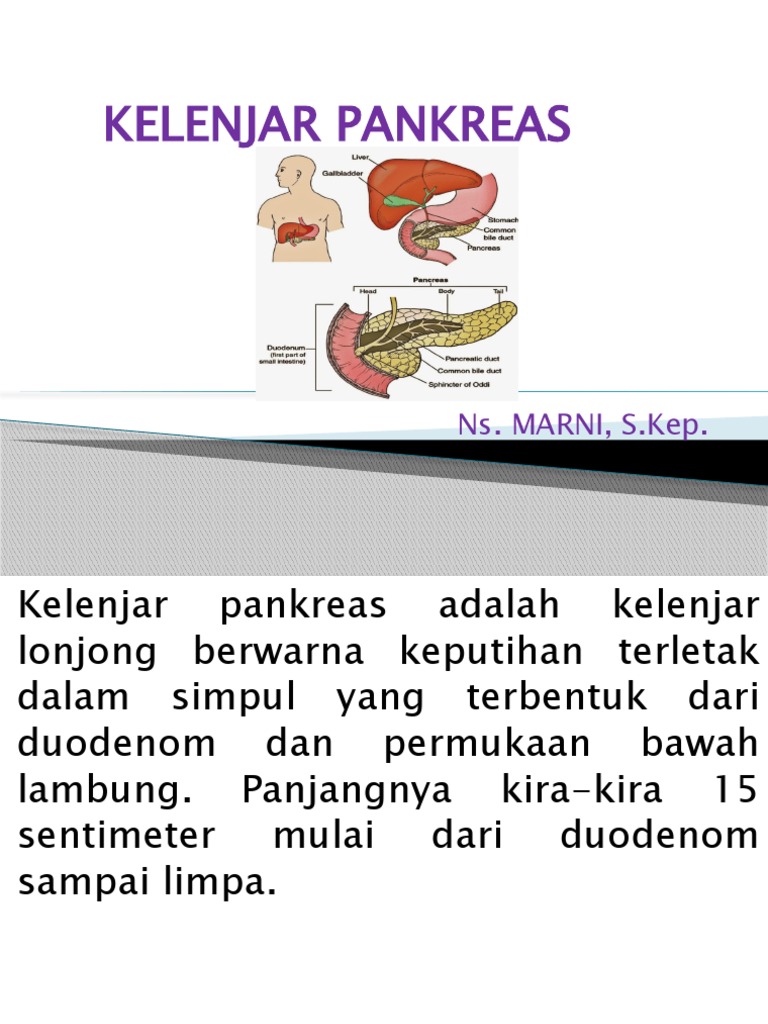 Kelenjar Pankreas | PDF