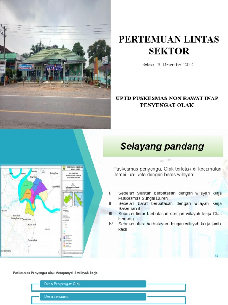 Laporan Kesehatan Puskesmas Penyengat Olak | PDF