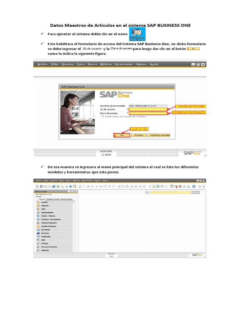 Datos Maestros de Articulos | PDF