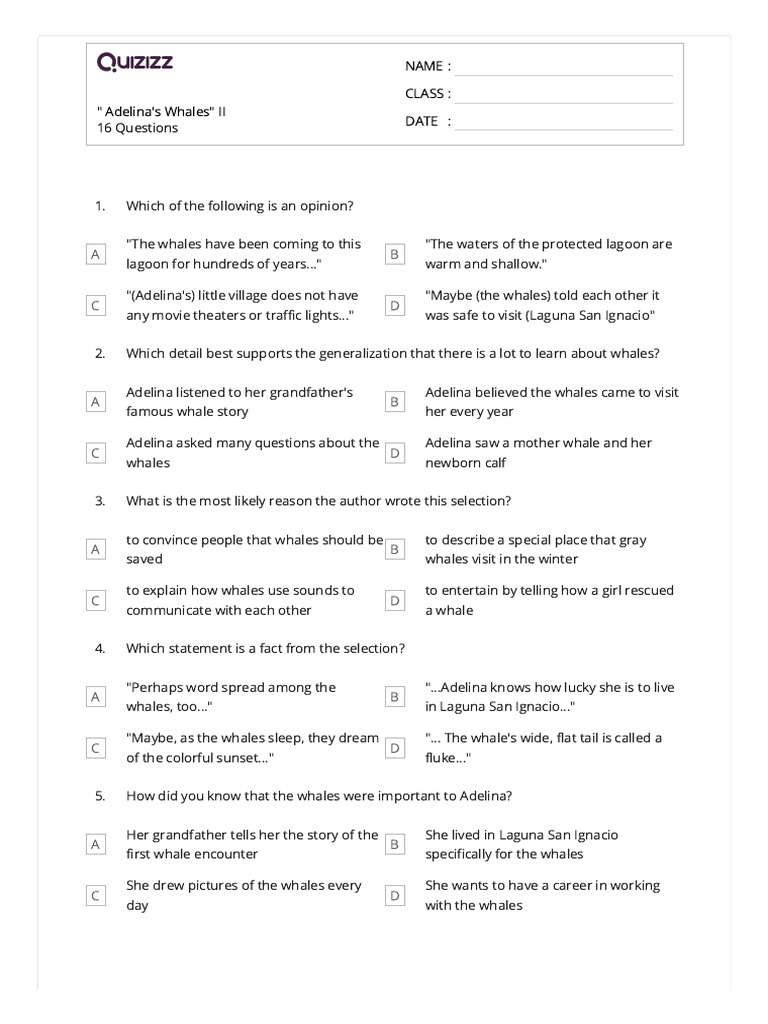 Adelina's Whales - II | PDF | Whales | Cetaceans