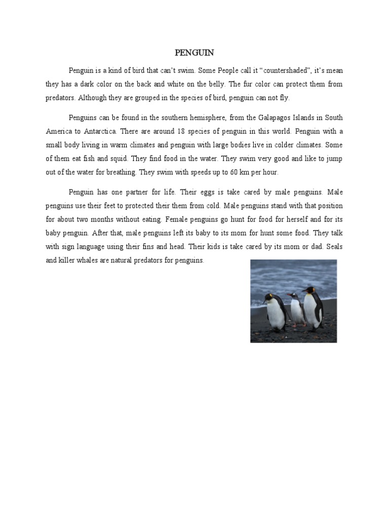 ENGLISH - Report Text - PENGUIN | PDF
