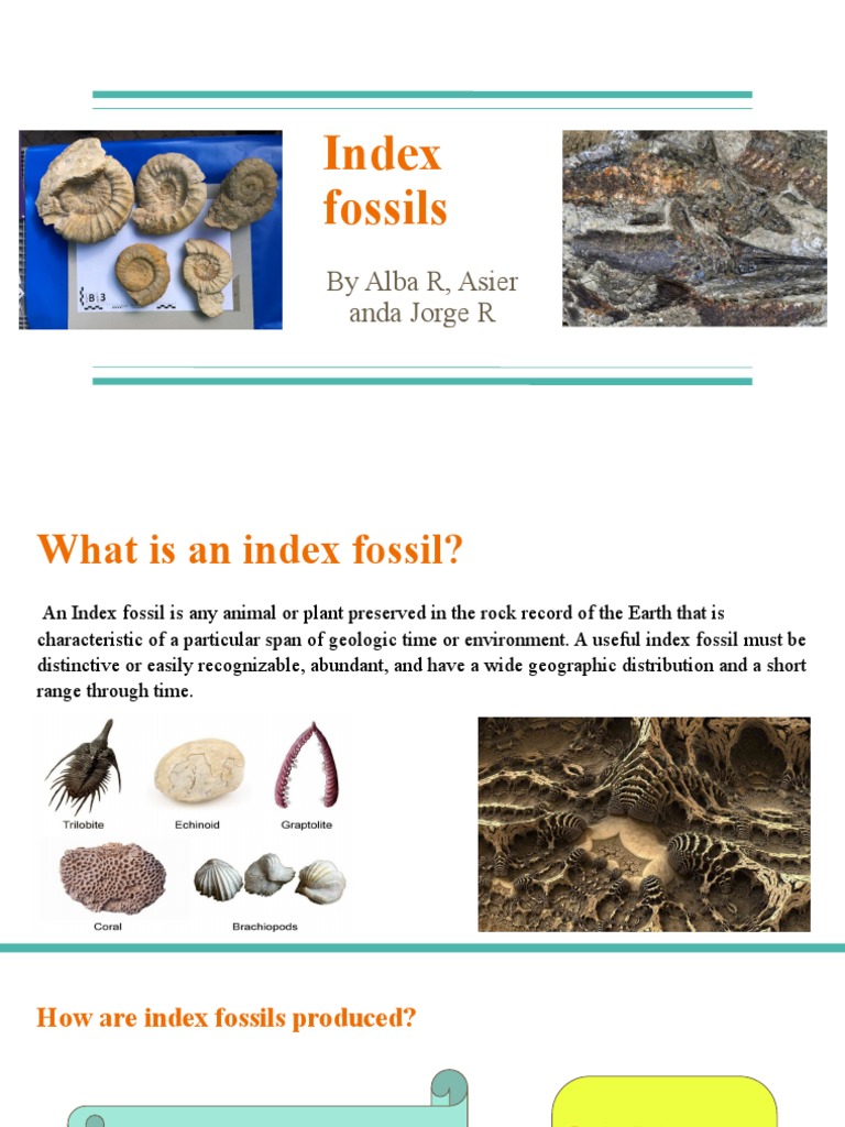 Fossils | PDF | Fossil | Geologic Time Scale