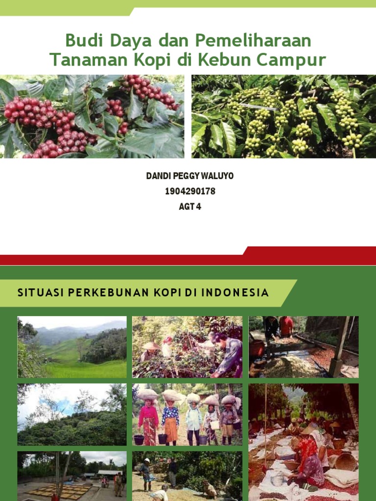 Dandi Peggy Waluyo Kopi | PDF
