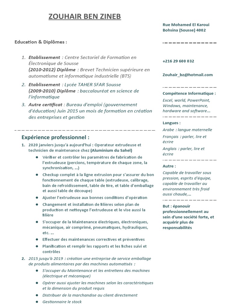 Zouhair CV | Download Free PDF | Informatique