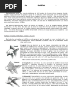 Anatomía de Aletas en Peces | PDF | Cordados | Pescado