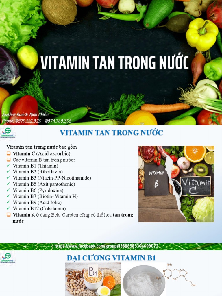 Vitamin Tan Trong Nư C | PDF