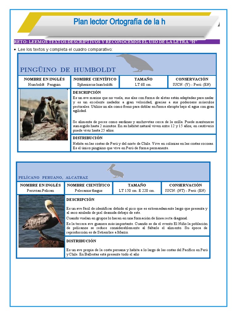 5° Ficha Com | PDF | Vertebrados Marinos | Neognathae