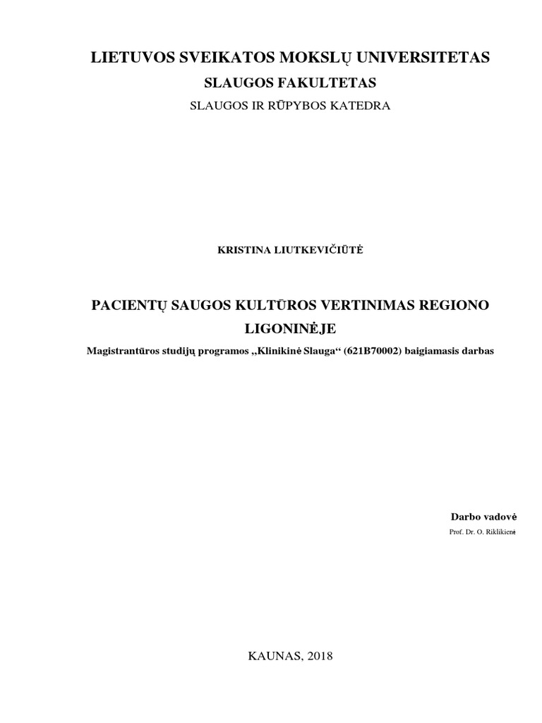 Magistrinis Darbas | PDF