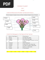 Pollination Worksheet | PDF
