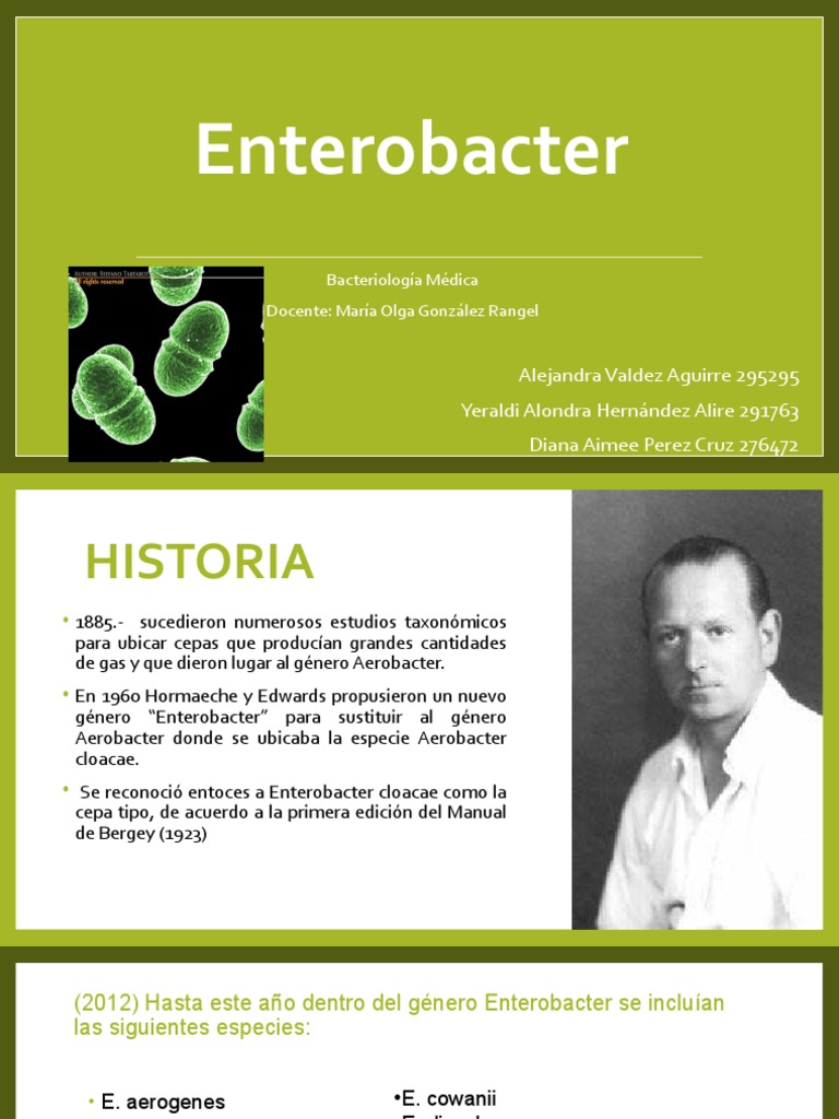 Enterobacter Expo | PDF | Sistema inmune | Especialidades Medicas