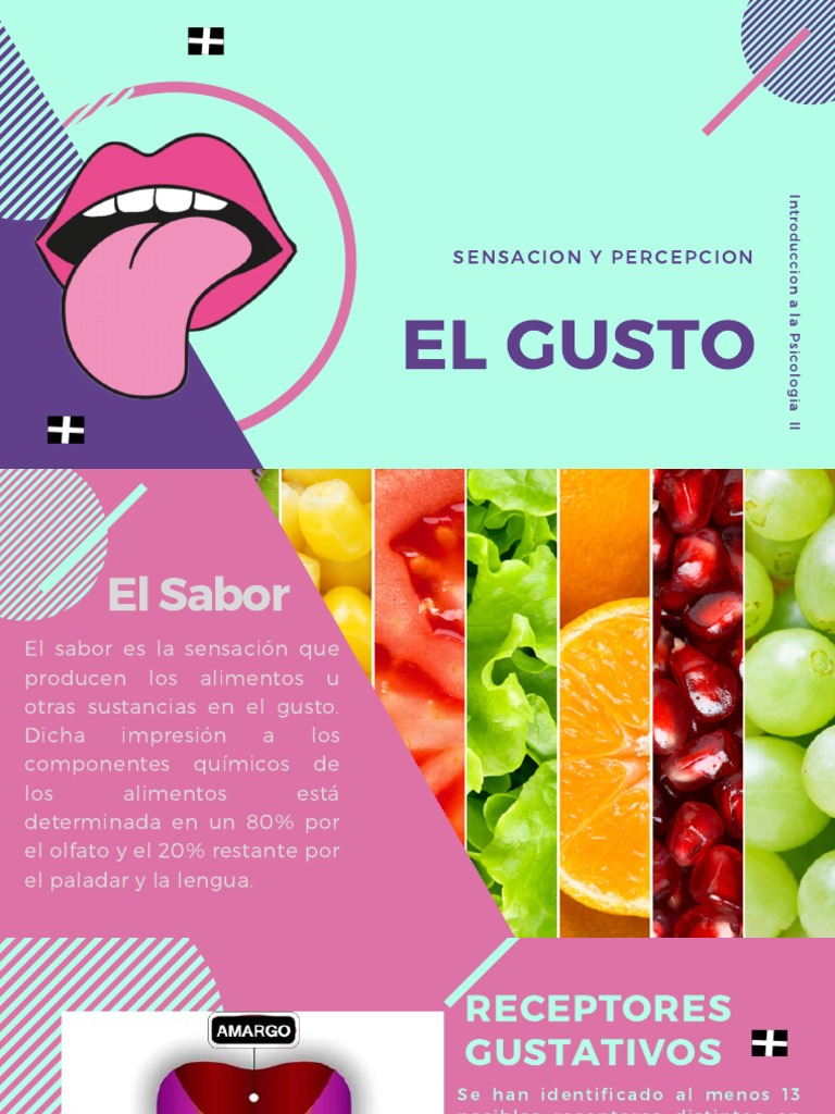 El Gusto | PDF | Gusto | Sistema nervioso