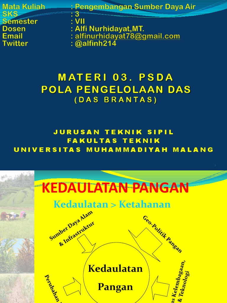 PSDA Pengelolaan DAS 2022 (Studi Kasus DAS Brantas) | PDF
