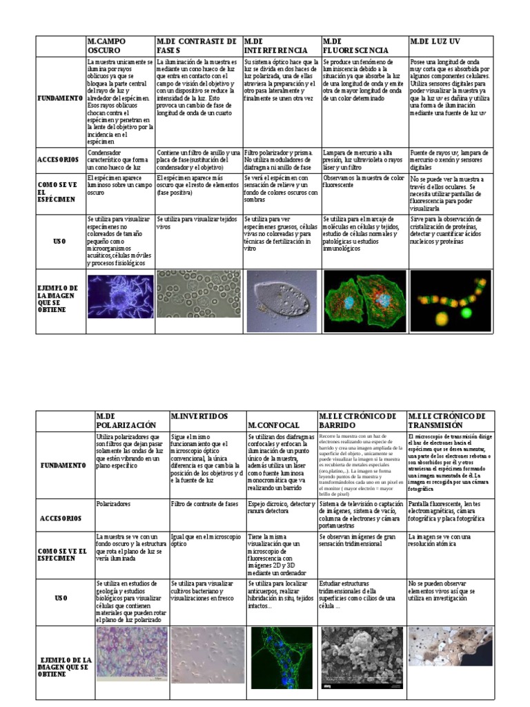 Tipos de Microscopios y Usos Específicos | PDF | Ultravioleta | Filtro ...