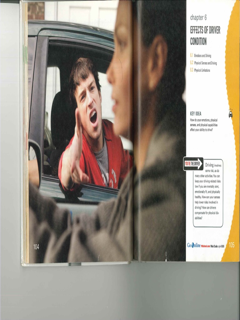 Drive Right Chapter 6 | PDF | Visual Perception | Emotions