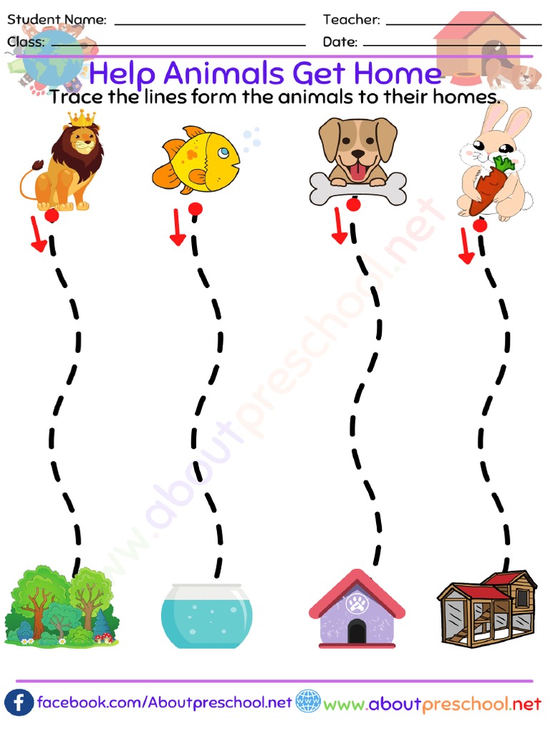 Animals-and-Their-Homes-Matching-5 | PDF