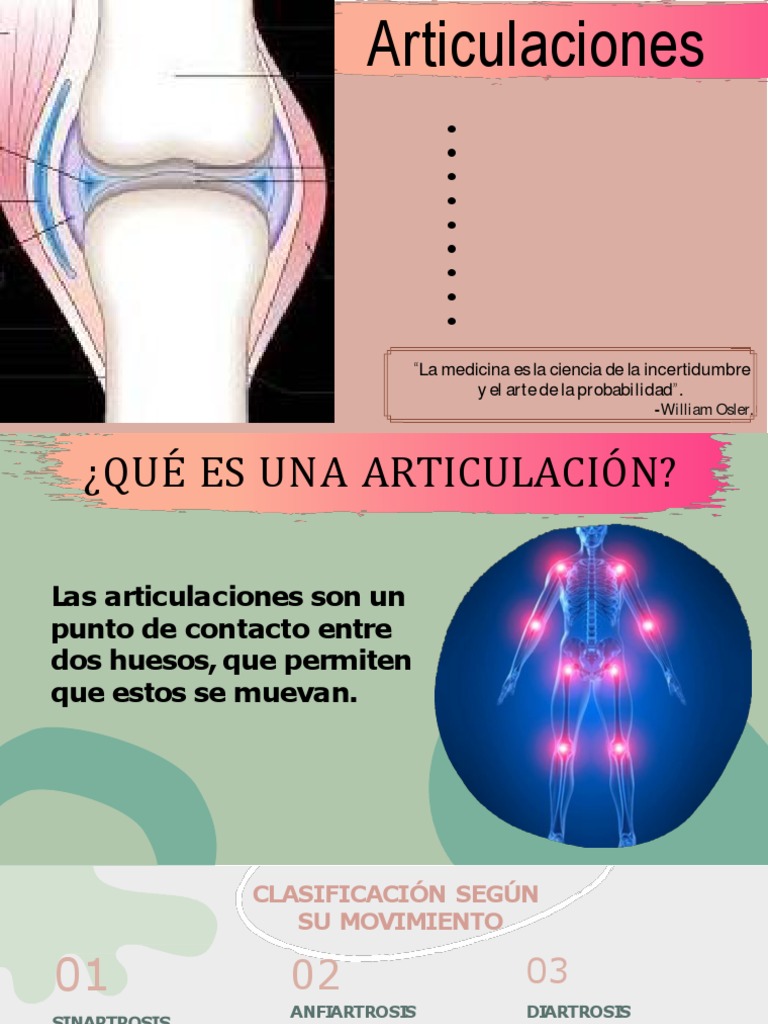 Clasificación y tipos de articulaciones | PDF | Articulación | Anatomía