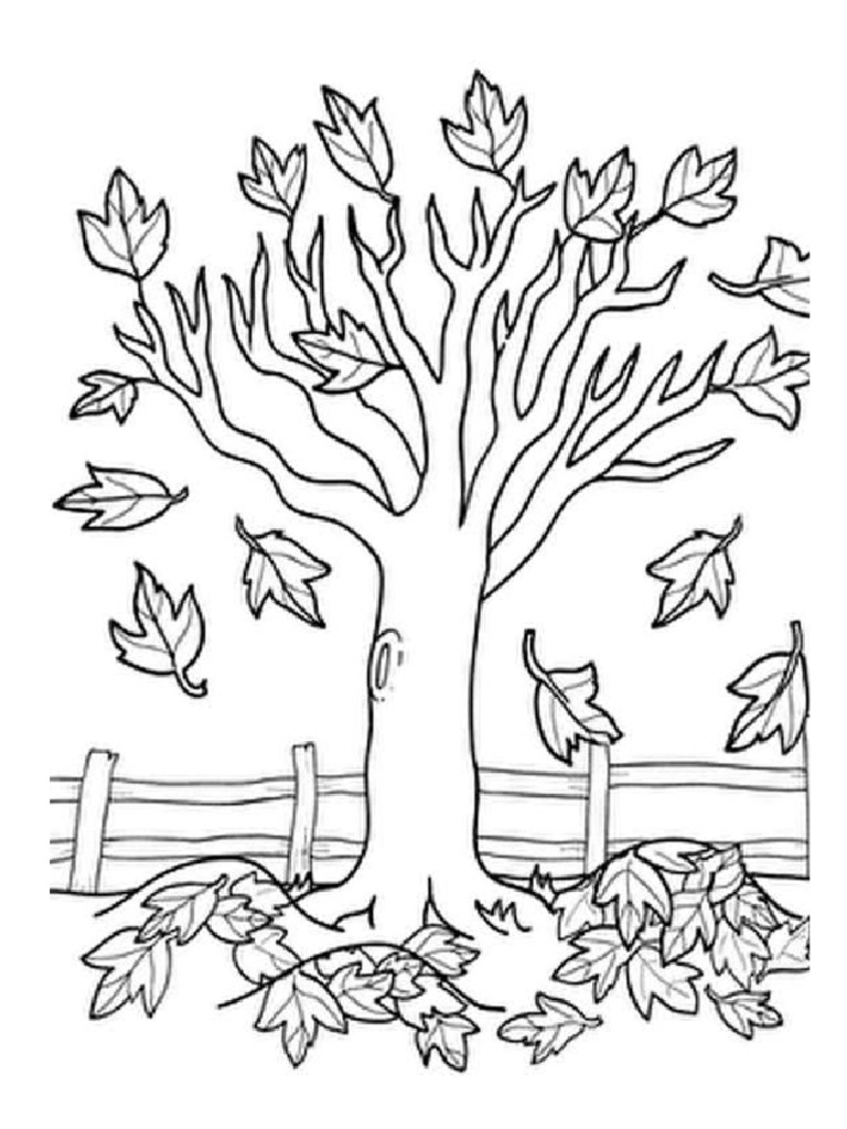 Copacul Toamnei | PDF