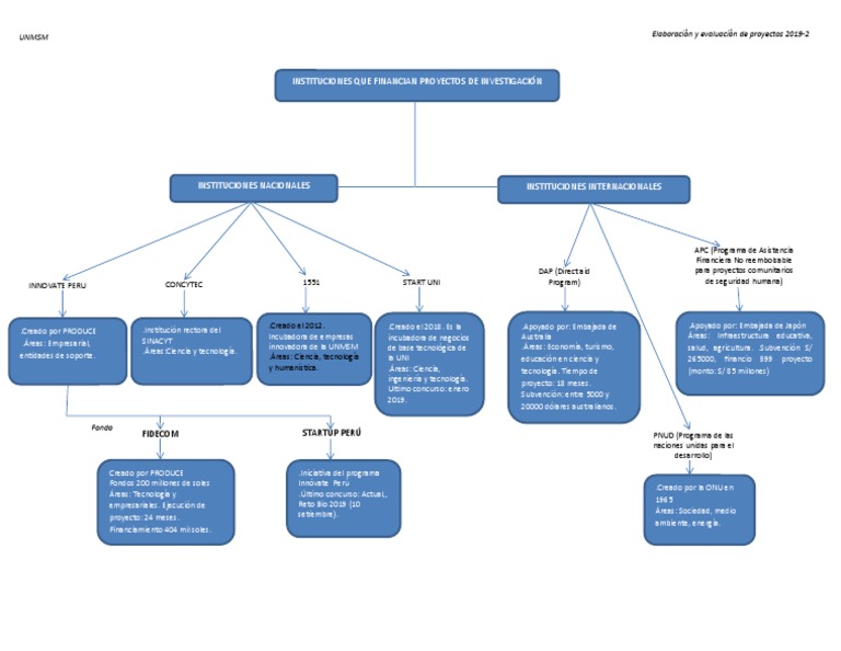 Mapa Coceptual-Unmsm | PDF
