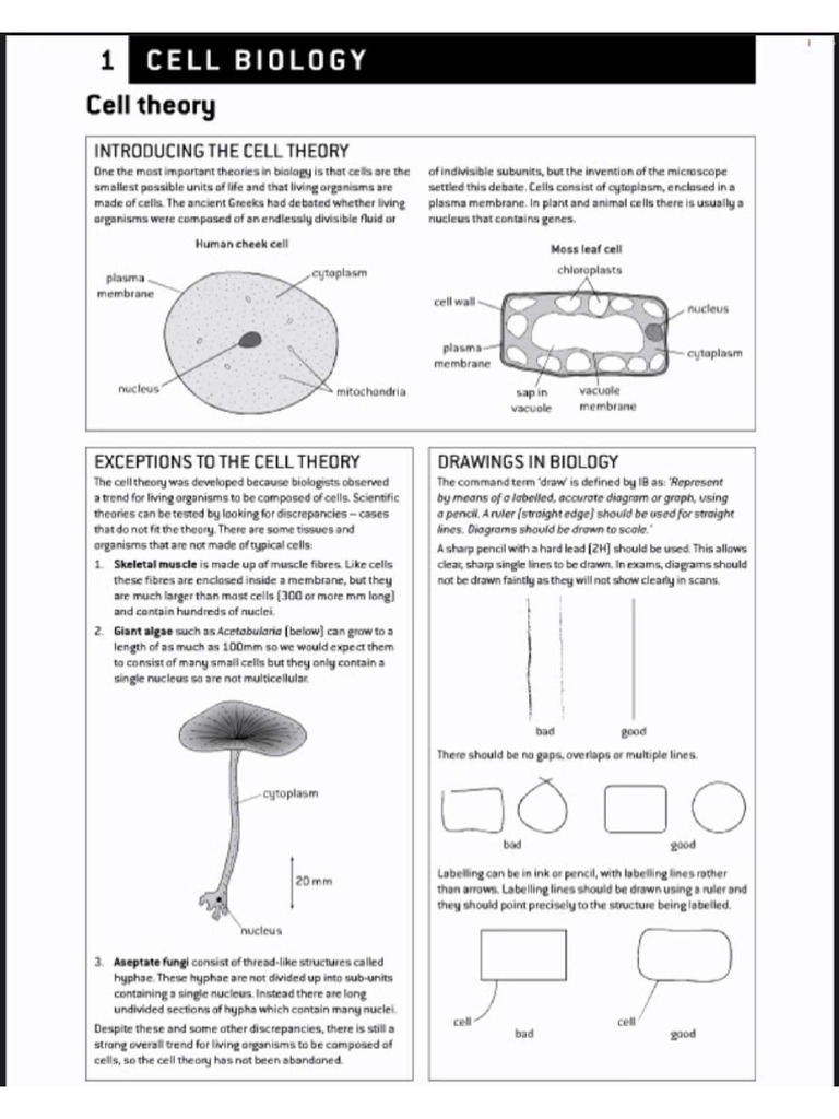 Unit 2 The Cell | PDF