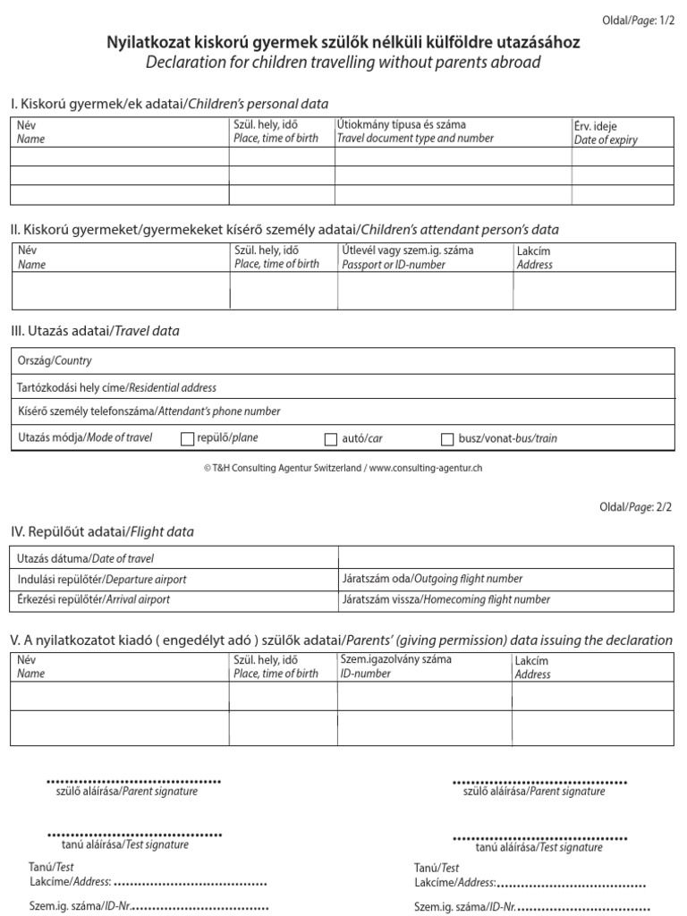 Szuloi Nyilatkozat 2 Angol | PDF