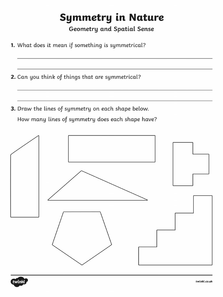 Ca N 3 Symmetry in Nature Activity Sheet | PDF