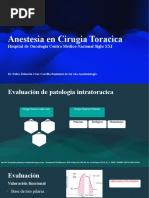 Tema 13 Bloqueo en El Plano Del Transverso Torácico | PDF | Tórax ...