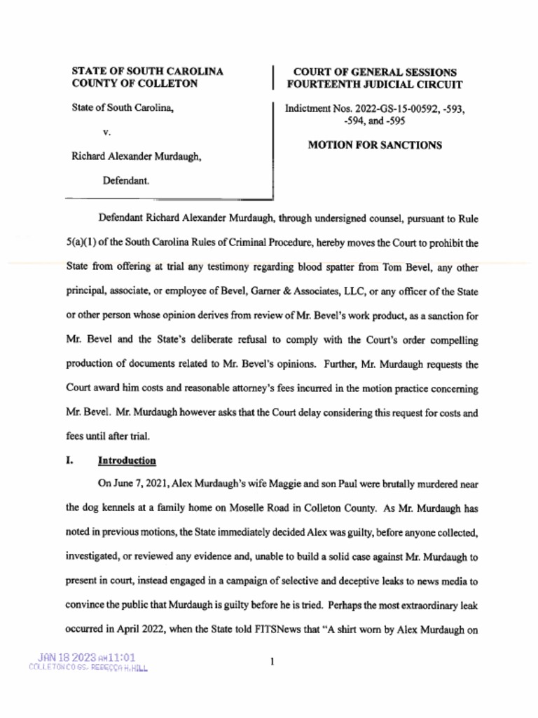 Murdaugh Motion - Block Blood Spatter Expert Witness Testimony | PDF