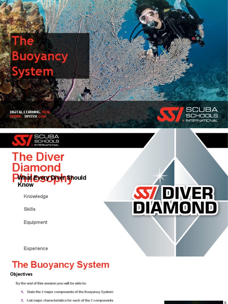 Presentation Buoyancy System | PDF | Scuba Diving | Underwater Diving